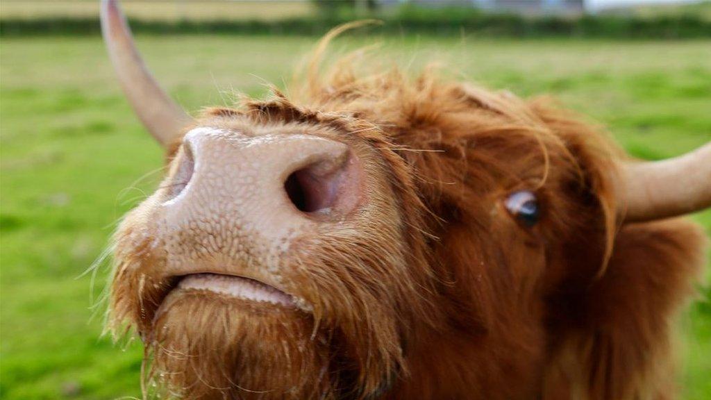 Your pictures of Scotland: 25 August - 1 September - BBC News