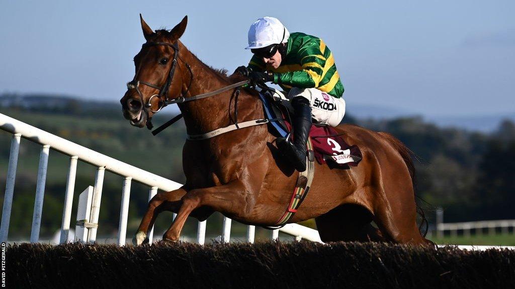 Cotswold Chase: Capodanno victorious for Willie Mullins at Cheltenham ...