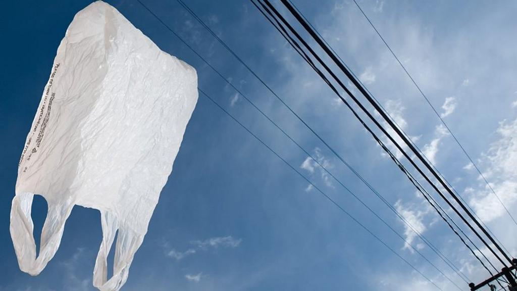 How plastic bags were invented to help save the planet - BBC Newsround
