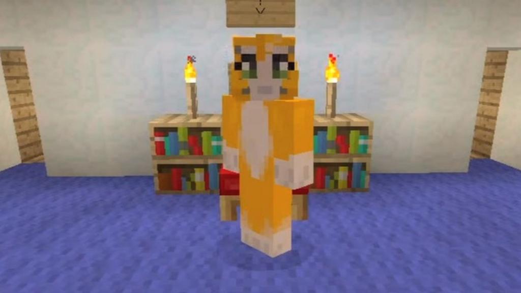 Minecraft star Stampy's top tips to avoid griefing - BBC Newsround
