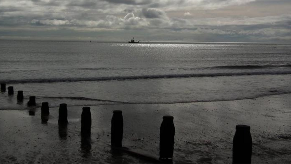 BBC Local Live: Devon & Cornwall on Wednesday 18 November - BBC News