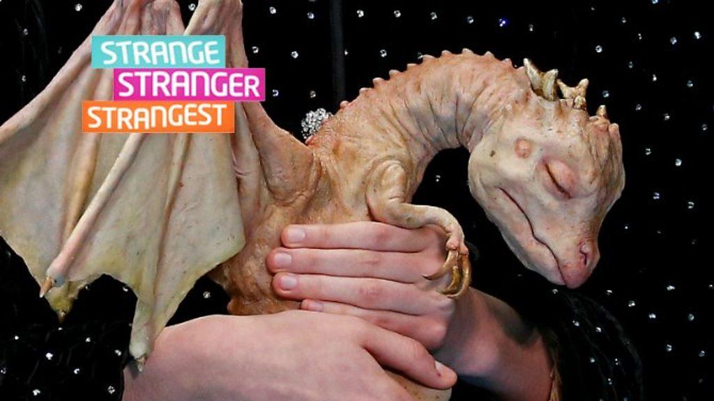 Strange, Stranger, Strangest - BBC Newsround