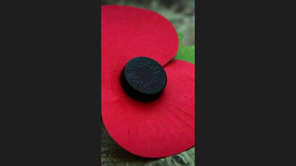 'Ribbon of poppies' pledge for WW1 centenary - BBC News