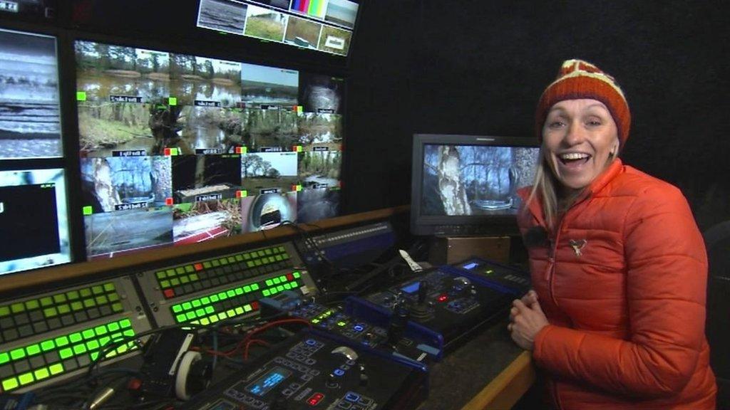 WInterwatch: Get a peek behind the scenes - BBC Newsround