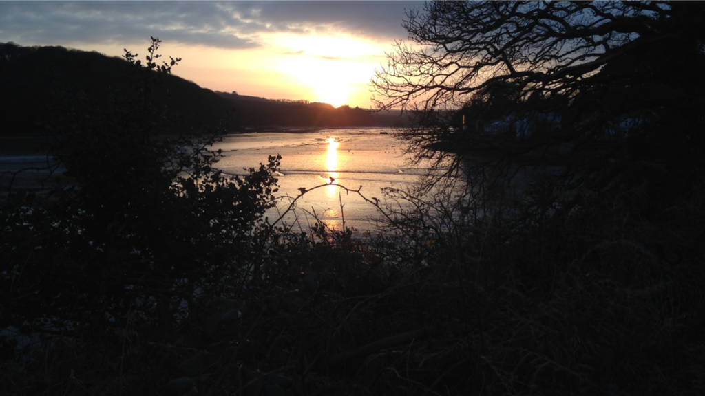 BBC Local Live: Devon & Cornwall Monday 24 August - BBC News