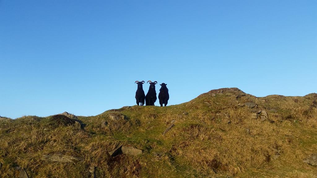 Your pictures of Scotland: 31 March - 7 April - BBC News