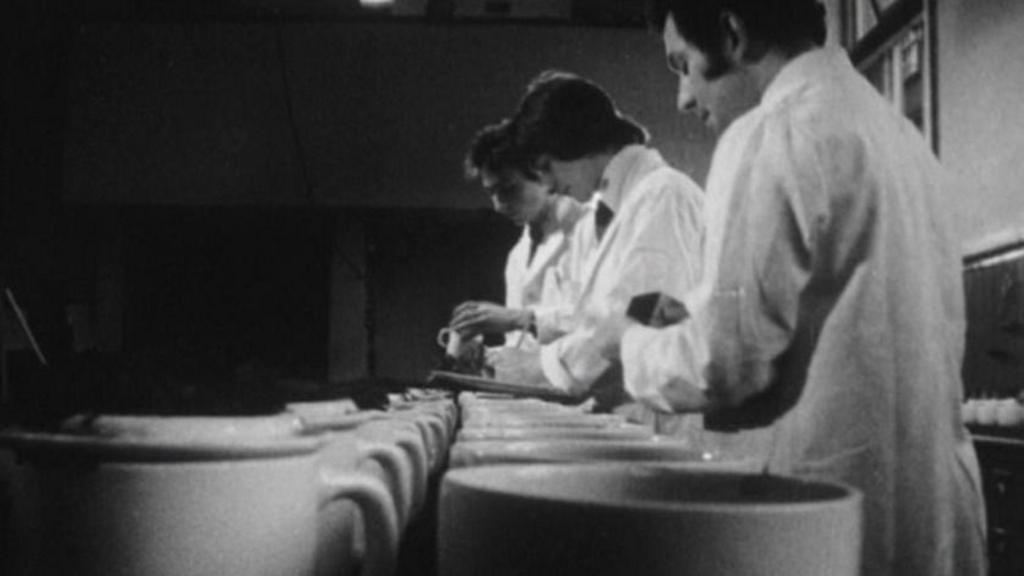 BBC Archive 1975: Professional tea tasters - BBC