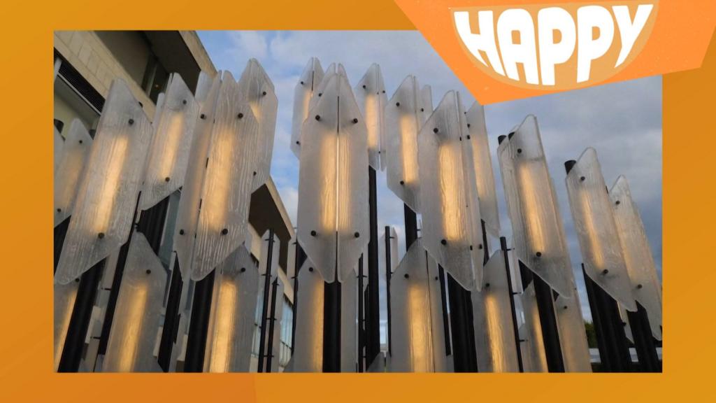 Happy News: Stories to make you smile - BBC Newsround