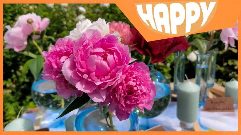 Happy News: Stories to make you smile - BBC Newsround