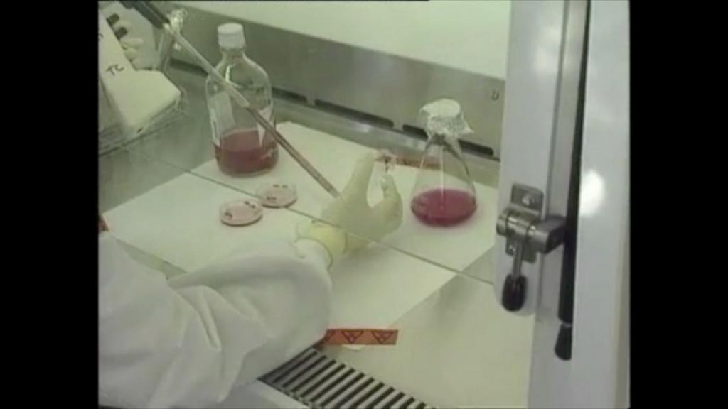 BBC Archive 1997: Mad cow disease linked to vCJD - BBC
