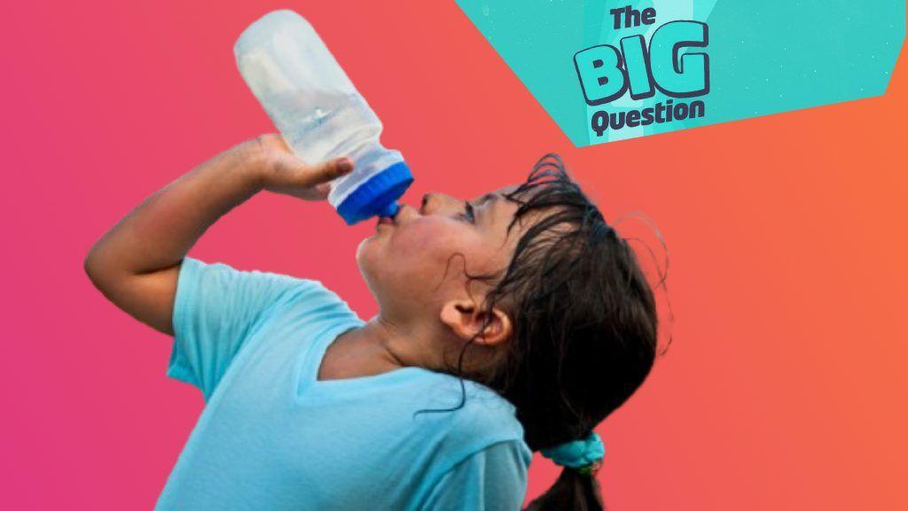 The Big Question: Why do we sweat? - BBC Newsround