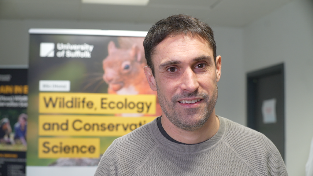 DIY bat microphones help monitor Suffolk population - BBC News