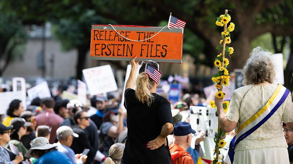 US government watchdog to investigate Epstein files release - BBC News