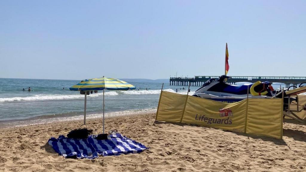 Heatwave in the South: Extreme heat warning with schools closed and ...
