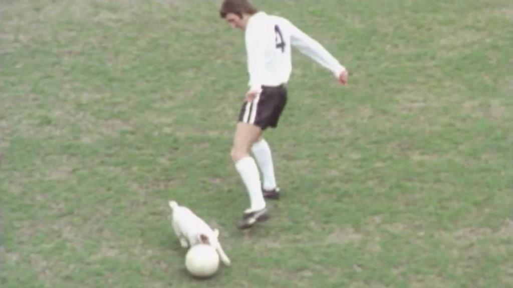 BBC Archive Footballing dog, 1977 - BBC