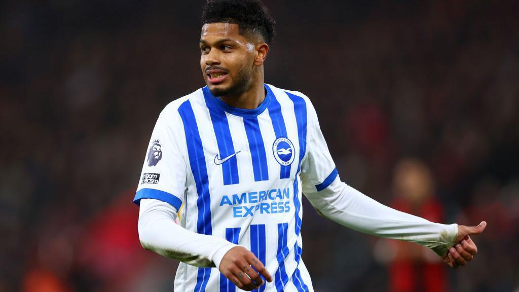 Brighton news: 'This next period is the most important' - Rutter - BBC ...