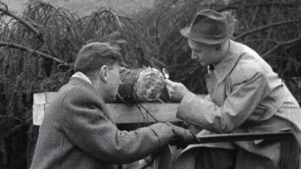 BBC Archive 1958: Christmas tree disaster - BBC