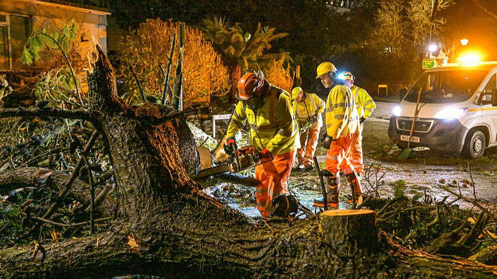Trees fallen and hundreds without power in Jersey after storm - BBC News