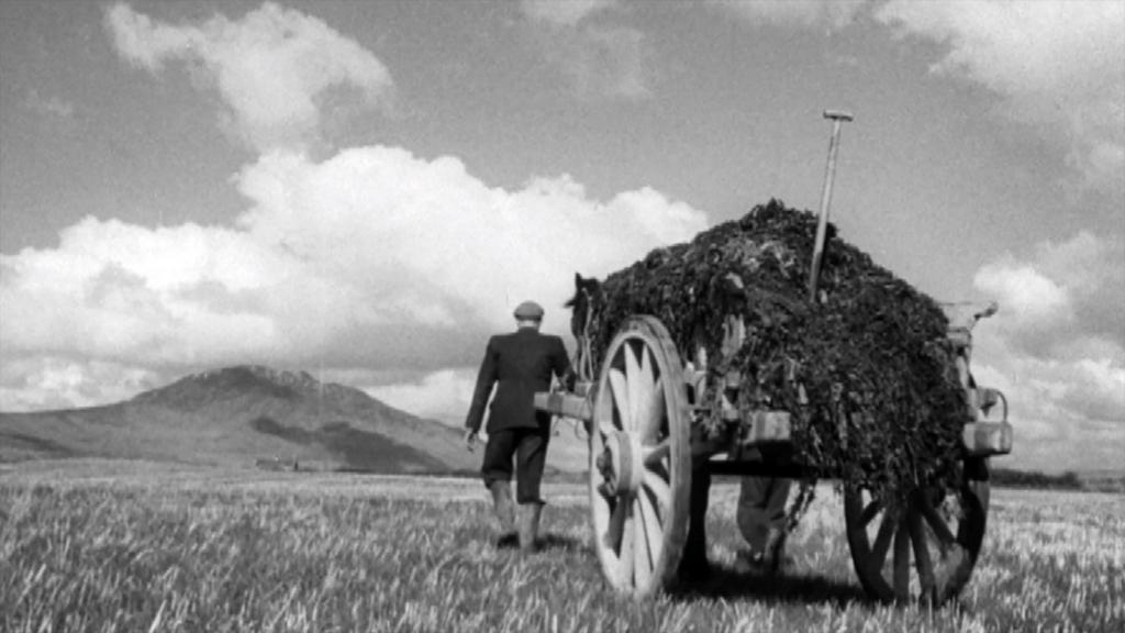 BBC Archive 1952: Where the praties grow - BBC