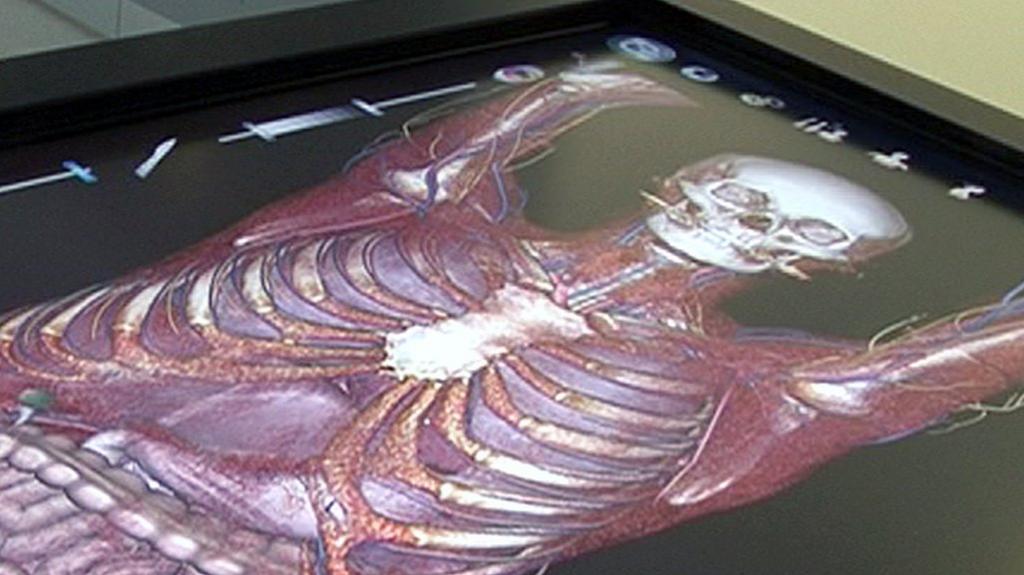 Anatomy students work on life-size virtual cadaver at University of ...
