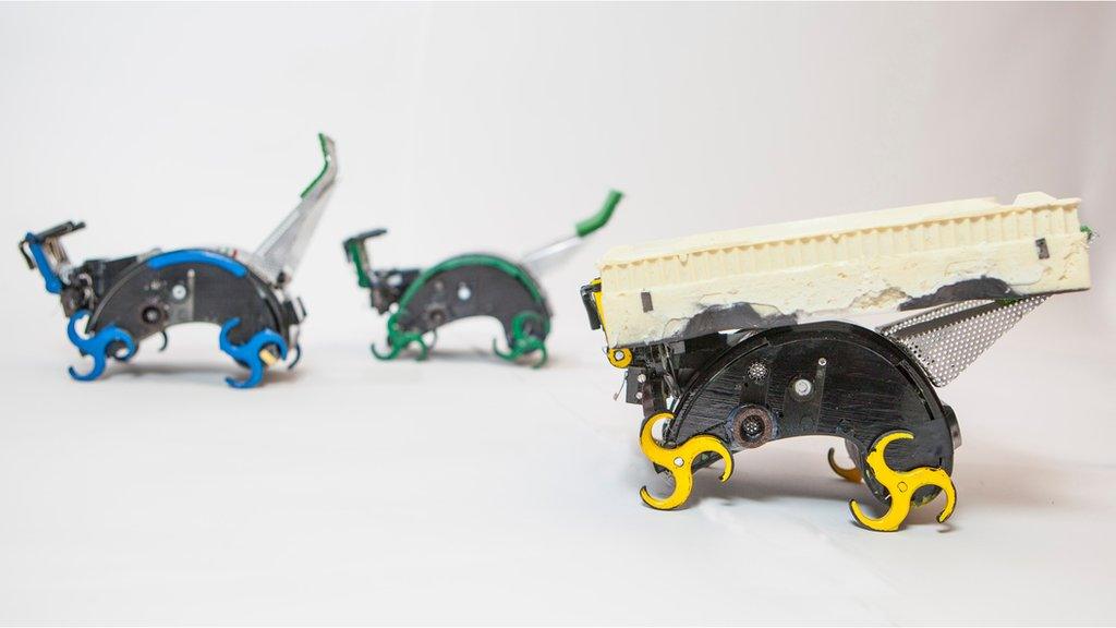 Thousand-strong robot swarm throws shapes, slowly - BBC News