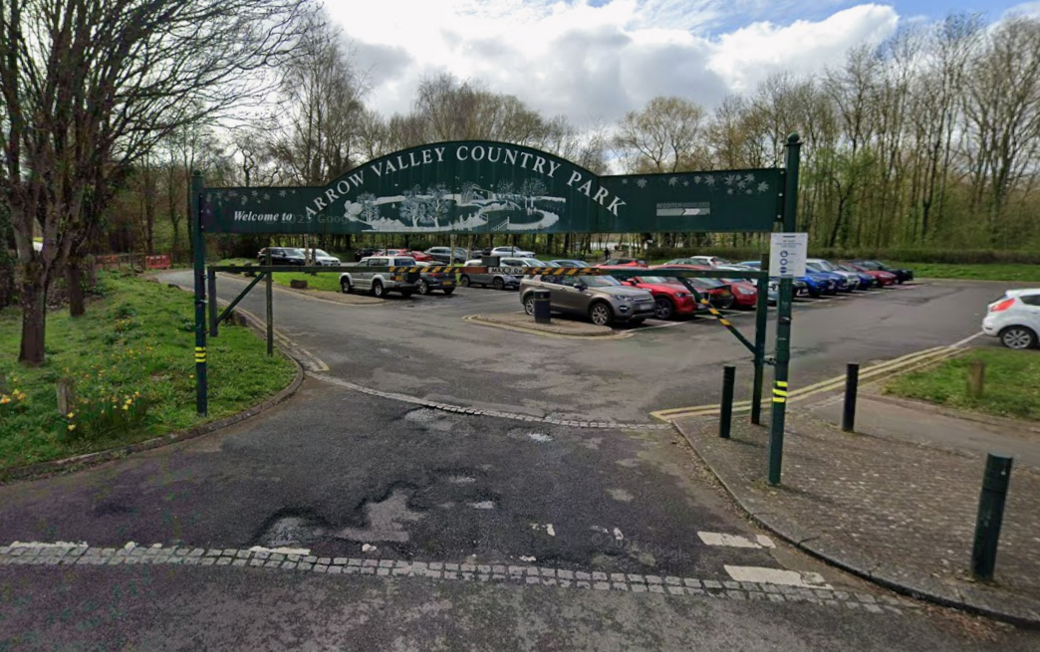 Bird flu found in swans and geese at Redditch beauty spot - BBC News