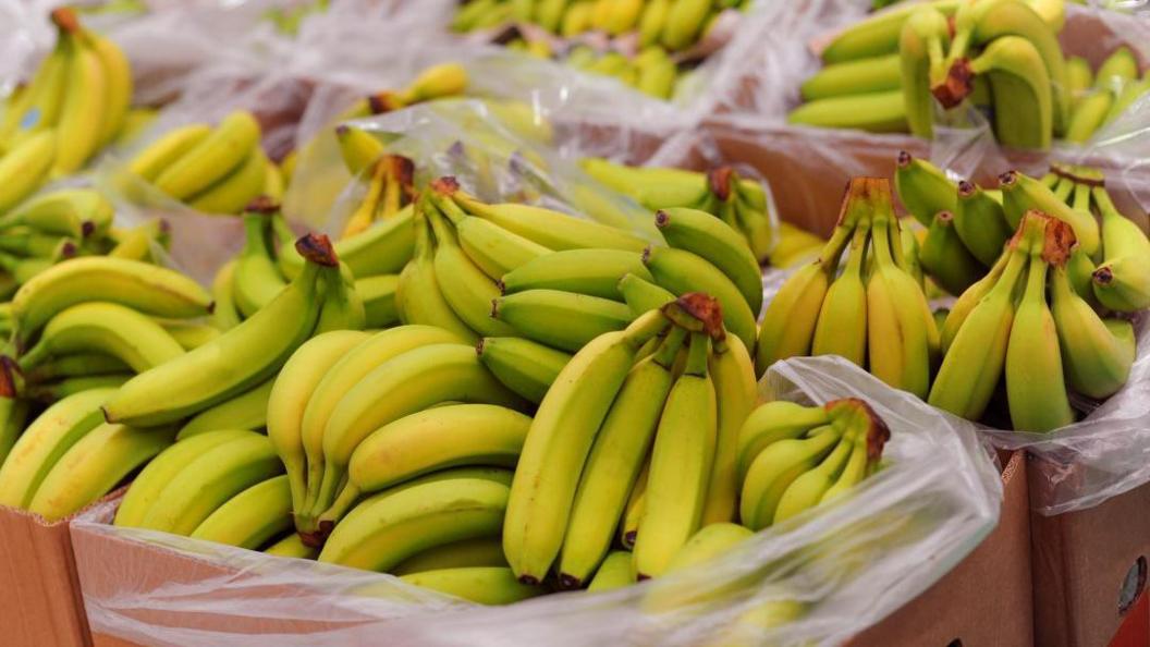 Orkney islanders snap up 38,000 free bananas ordered in error - BBC News