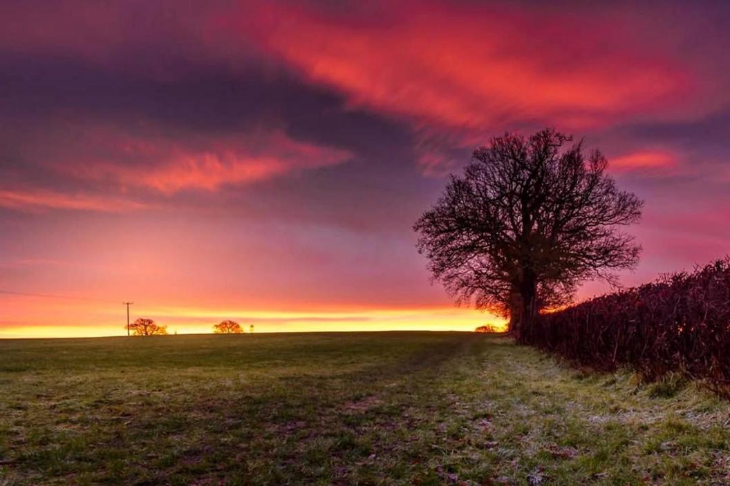 Your photos from the West Midlands: Icy squirrels and the first ...