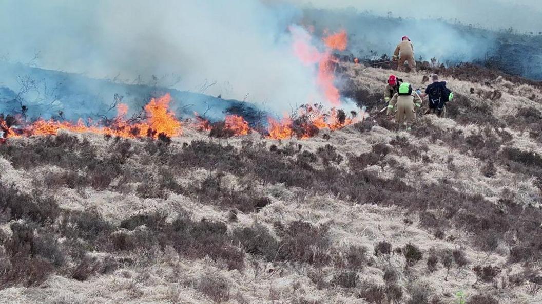 Mourne wildfires: Firefighters working 'tirelessly' to tackle fresh ...