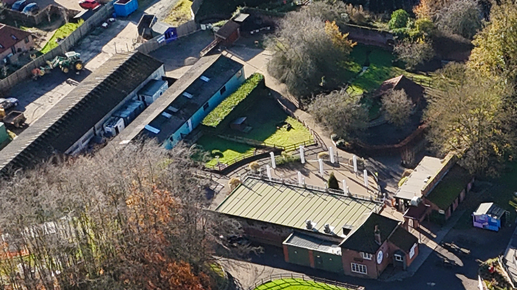 Lenwade animal garden at dinosaur park to close over rule changes - BBC ...