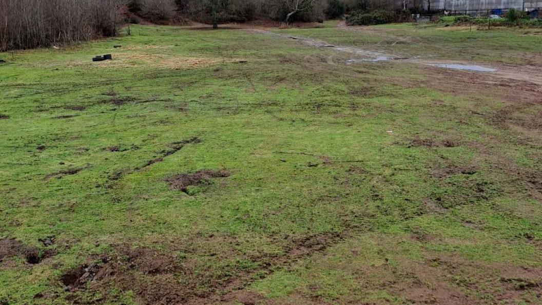 Hartlebury Common ripped up by cars and bikes - police - BBC News