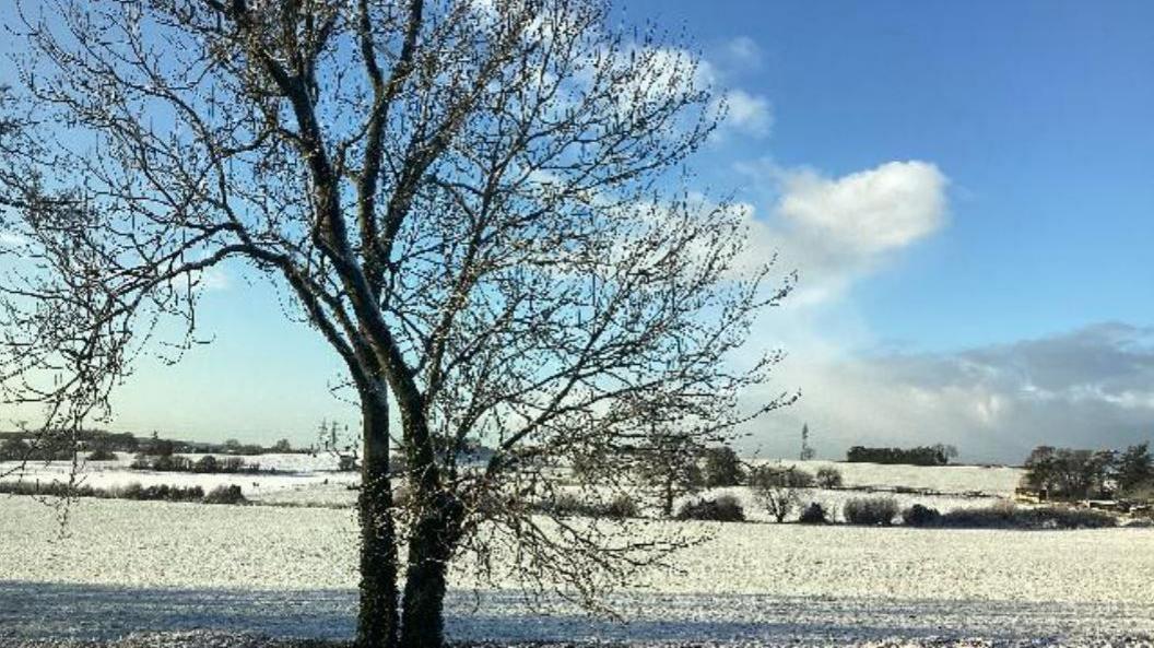 Your photos of snow across the West Midlands - BBC News