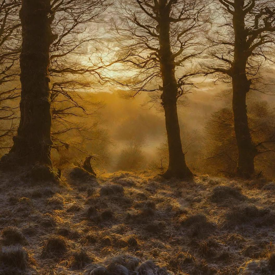 Your photos from the West Midlands: Icy squirrels and the first ...