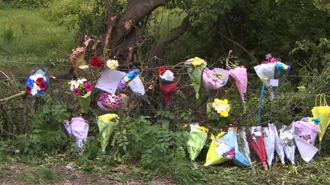 Corey Davies: Jail for crash deaths of sister and fiance - BBC News