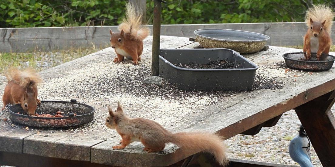 Your pictures of Scotland: 22-29 June - BBC News