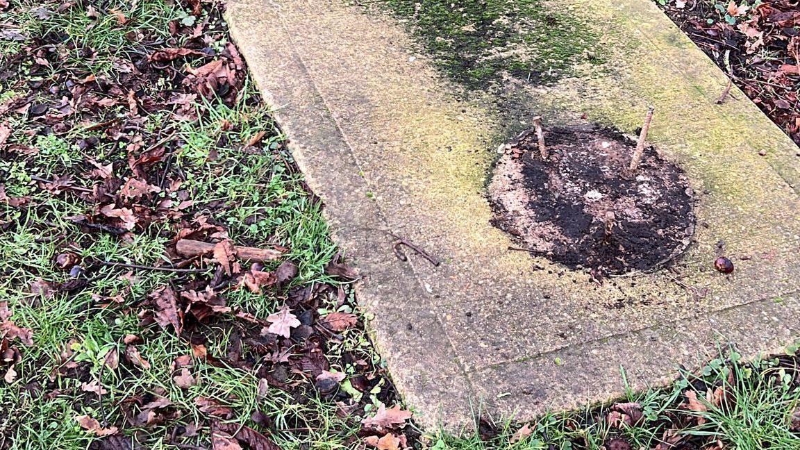 Marholm villagers' shock at theft of sculpted bench - BBC News