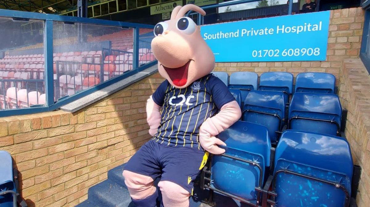 Southend United to introduce first female mascot - BBC News