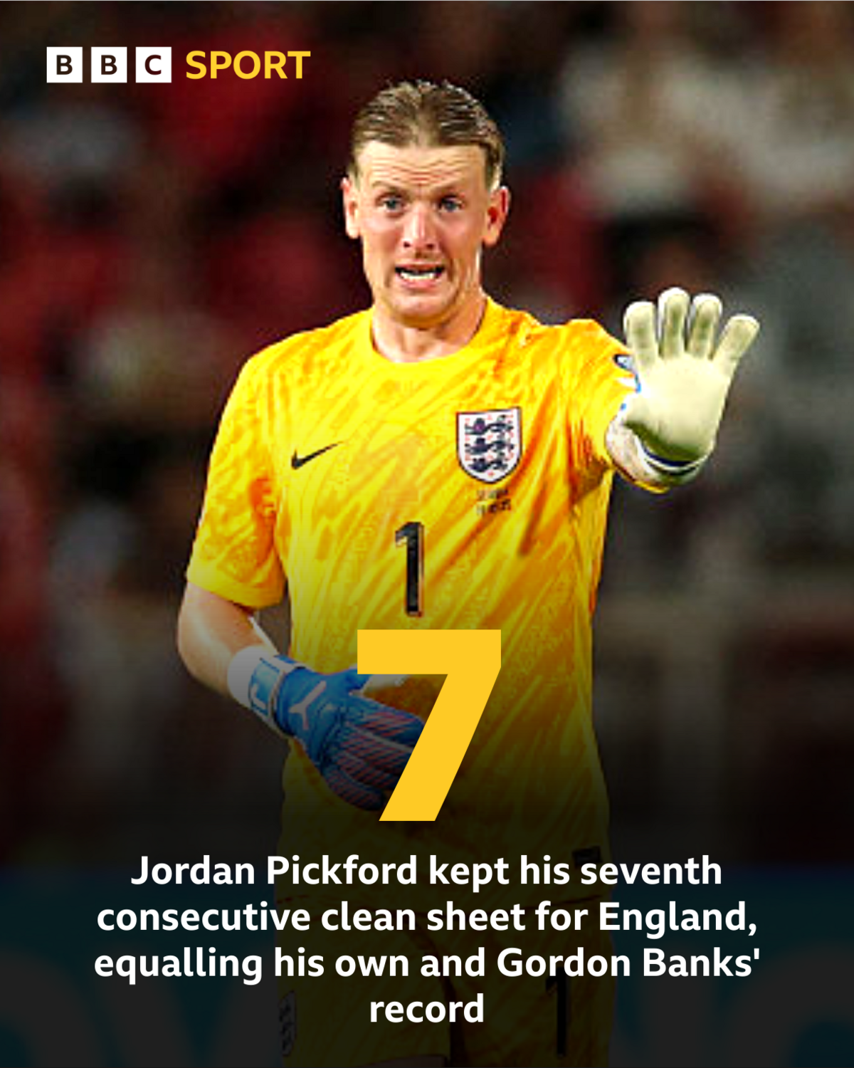 Everton news: Jordan Pickford equals England clean sheet record - BBC Sport