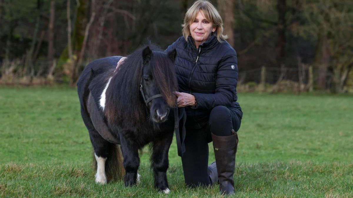 Malton equine hospital saves miniature horse and unborn foal - BBC News