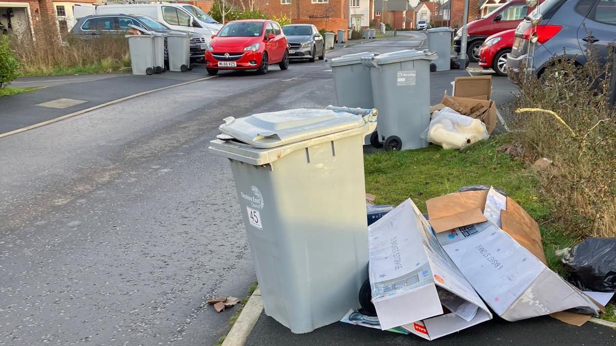 Elworth residents 'fed up' as bins go uncollected for weeks - BBC News
