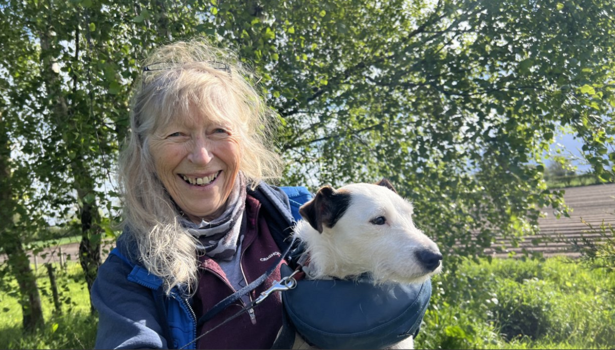 Terrier rescued from rabbit hole in East Yorkshire after two days - BBC ...