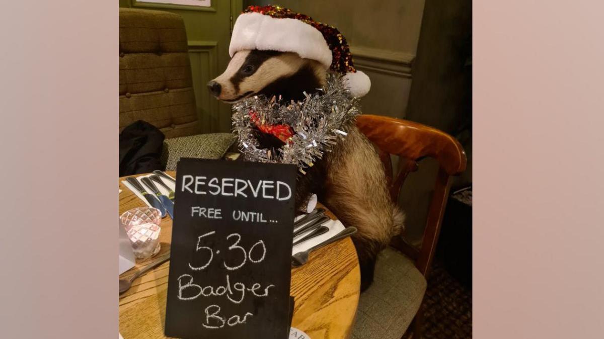 Rydal pub's missing Bertie the Badger mascot returns home - BBC News