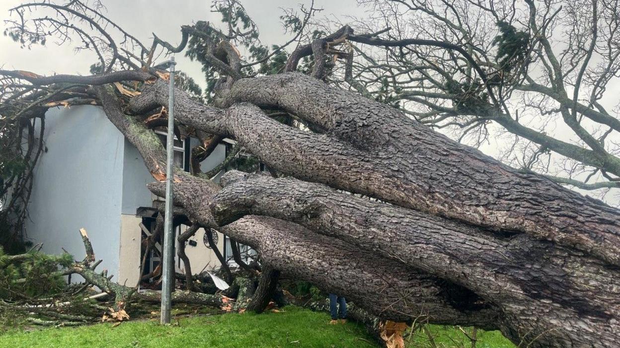 Storm Goretti: Woman calls for financial help after storm damage - BBC News