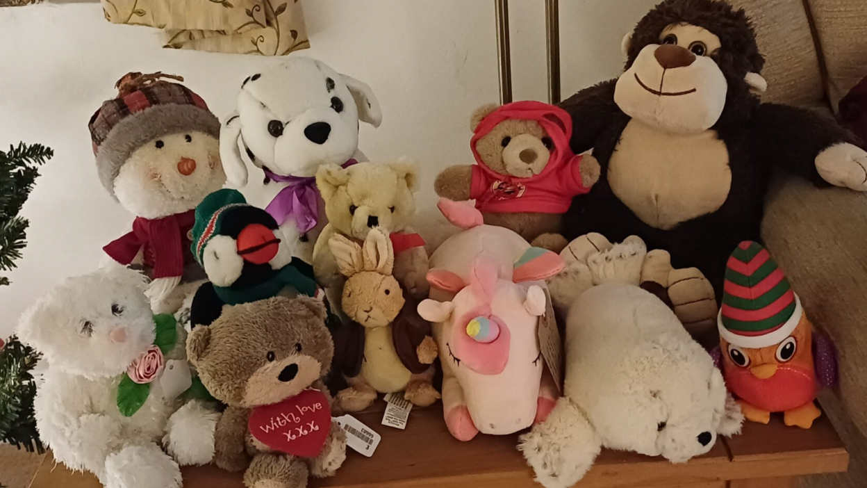 Teddy bear adoption drive at Somerset St Margaret’s charity shops - BBC ...