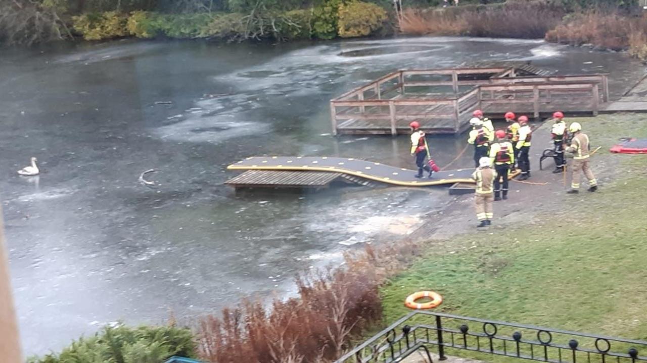 How many firefighters does it take to rescue a swan from ice? - BBC News