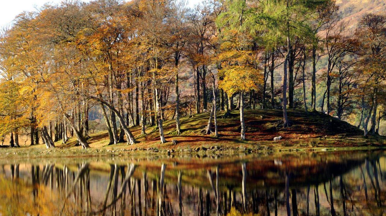 "Cothroman mòra" an cois pàirce nàiseanta Loch Obha - Naidheachdan a' BhBC
