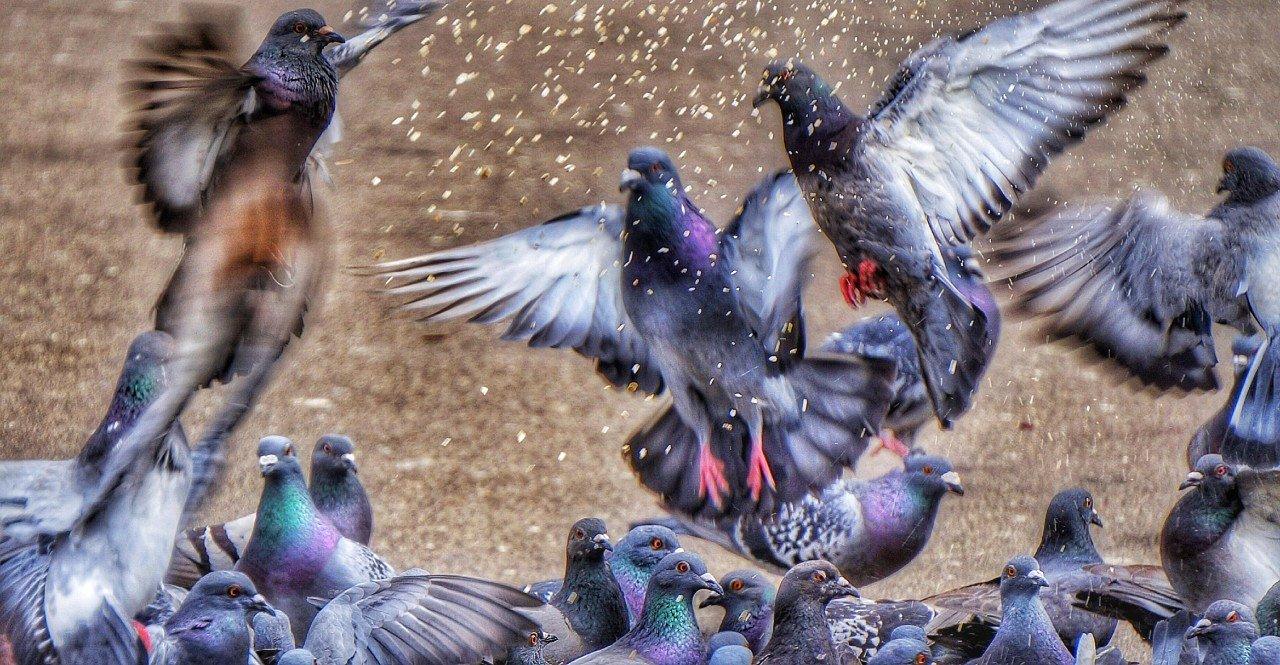 Your pictures of Scotland: 20 - 27 May - BBC News