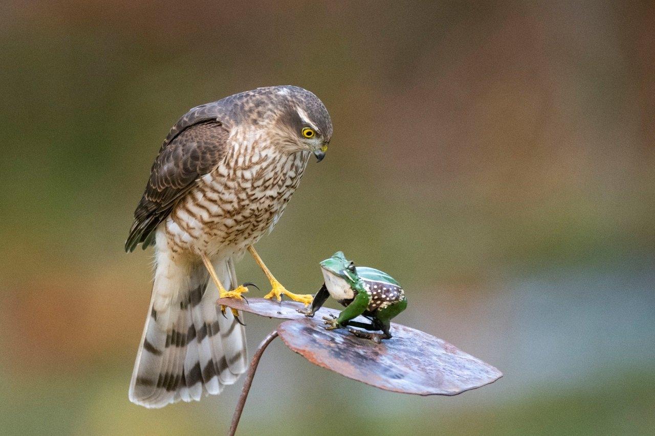 Your pictures of Scotland: 17-24 November - BBC News