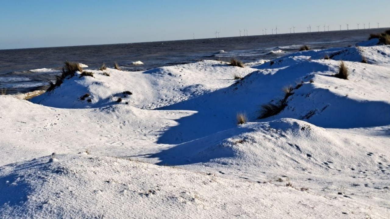 Snow 2026: Your frosty pics from around the UK - BBC Newsround