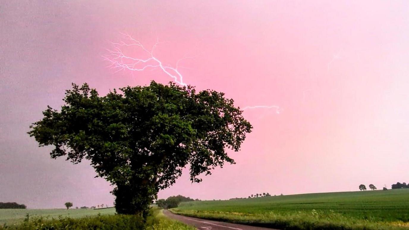 The Week in Pictures: Peterborough - BBC News